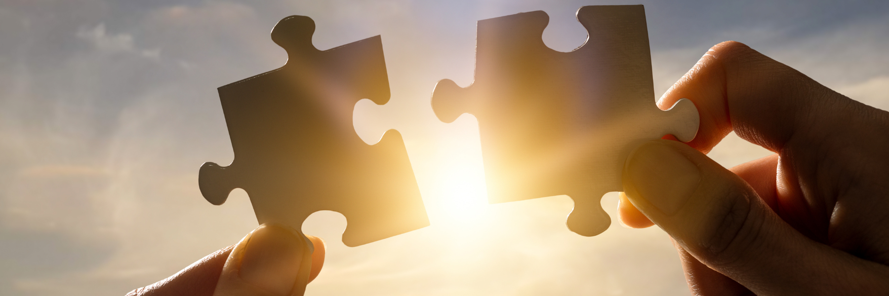 Unlocking Pyroluria: Secrets to Optimal Health | NatroVital